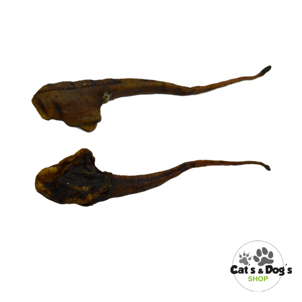 Queue de sanglier - Cat's and dog's sitting